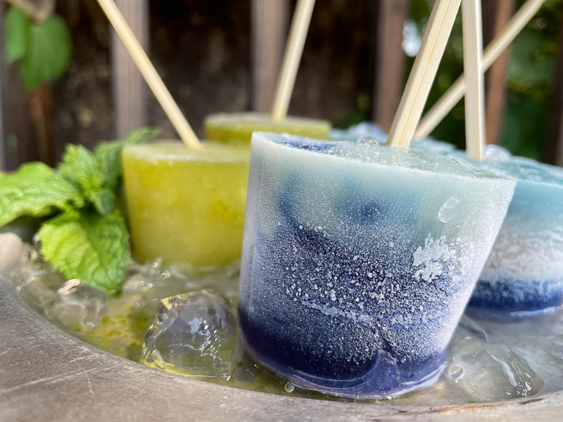 Galaxy Pops – World Spice