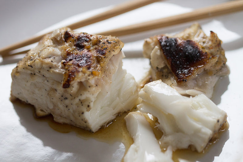 Miso Marinated Halibut – World Spice
